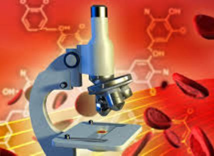 Live Blood Cell Analysis – Optimal Health Management